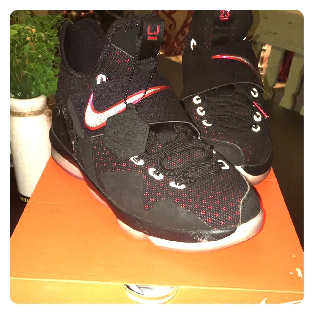 Nike Lebron Signature Line 14 - Gem